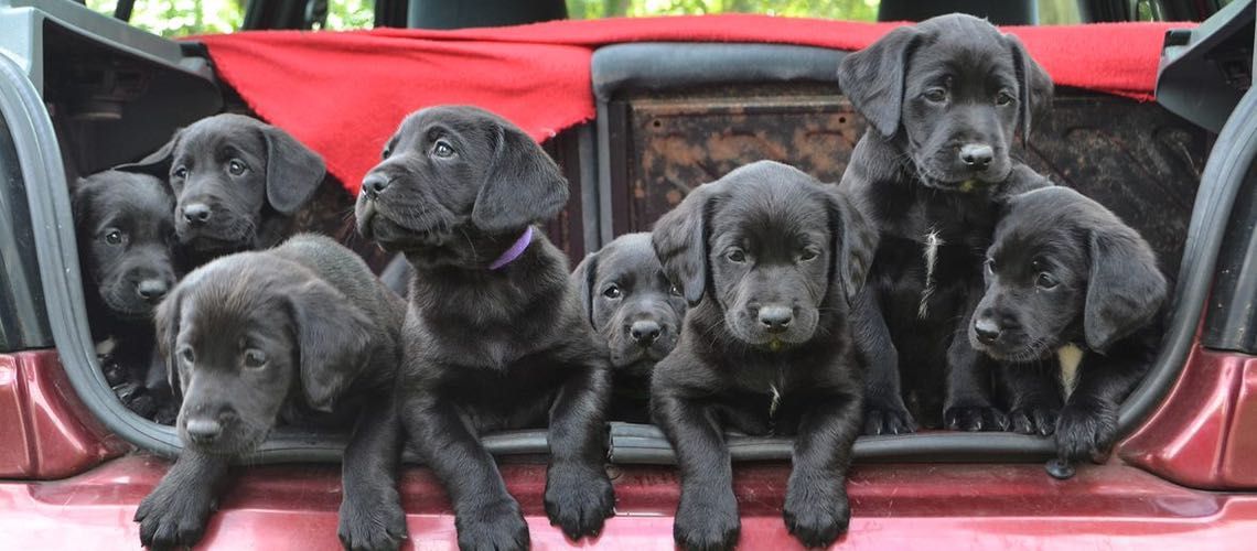 How to Improve Your Practice Culture During Chaotic Times - Practice Life