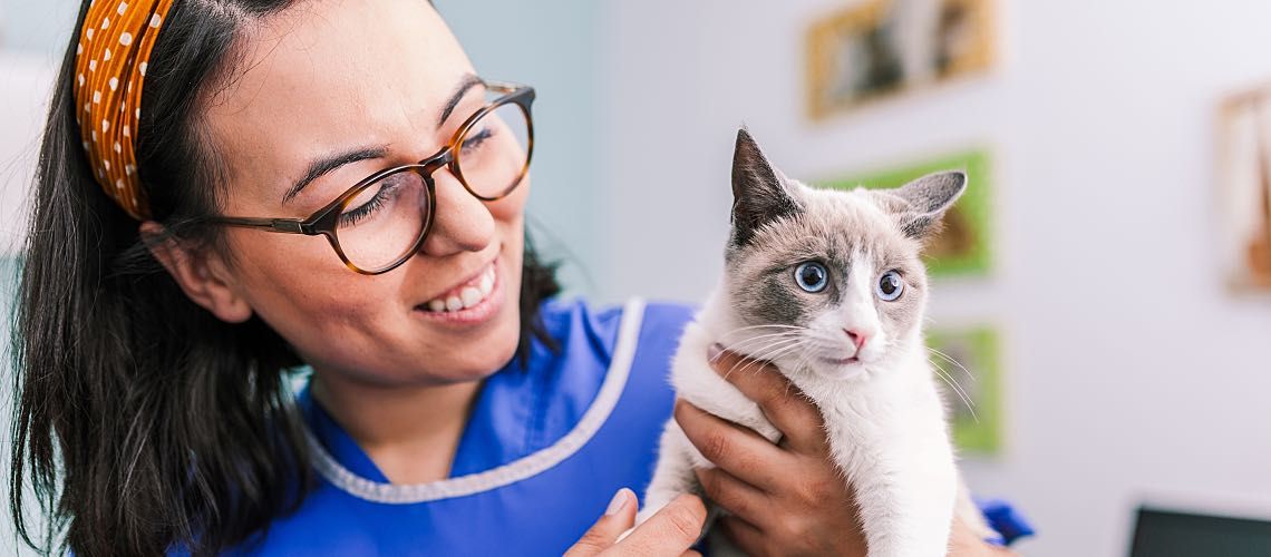 Why Do Vet Techs Leave and How Can You Inspire Them to Stay? - Practice ...