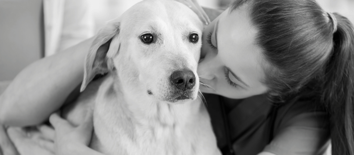 Vet Tech Week 2023: 5 Fresh Ways to Celebrate Your Team - Practice Life